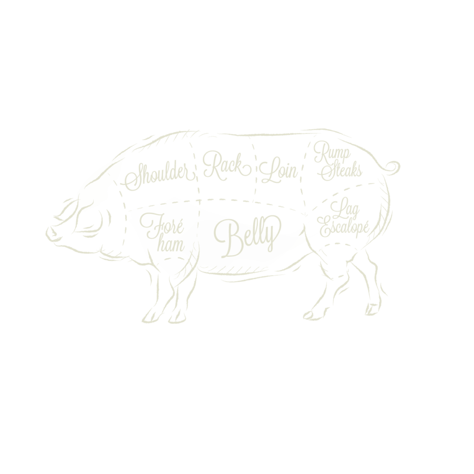 Pierson's Farm | NY – Pumpkins | Sunflowers | Family Activities | Grass ...