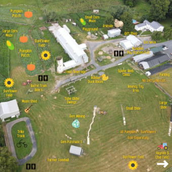 Pumpkins, Sunflowers, Grass-Fed Beef in the Hudson Valley, NY | Pierson ...