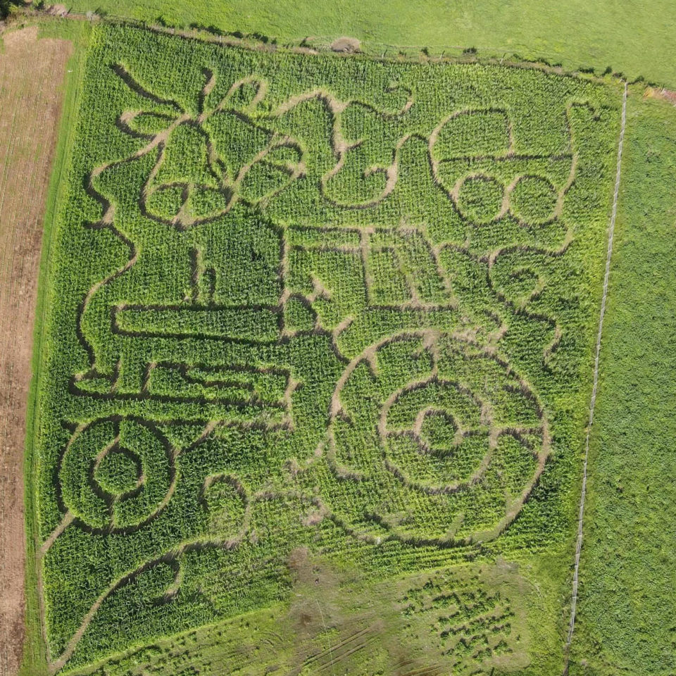 Pierson's Farm | NY – Pumpkins | Sunflowers | Family Activities | Grass ...