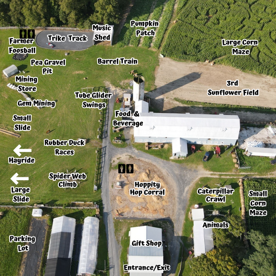 Pierson's Farm | NY – Pumpkins | Sunflowers | Family Activities | Grass ...